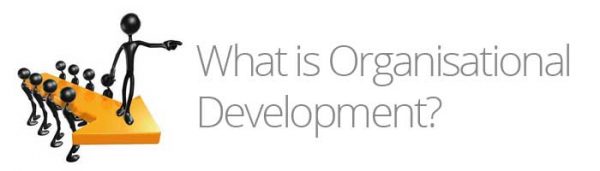 What Is Organisational Development- Does Your Business Need It?